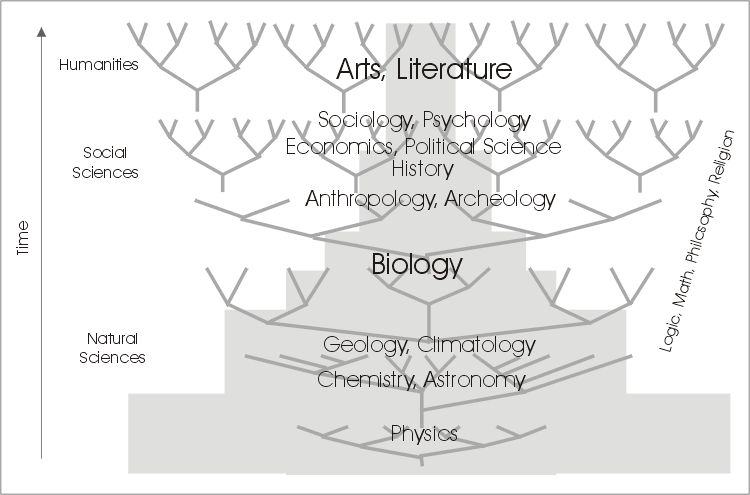 Ramblebrain: Science, the Roots of Nature, and the Branches of Knowledge
