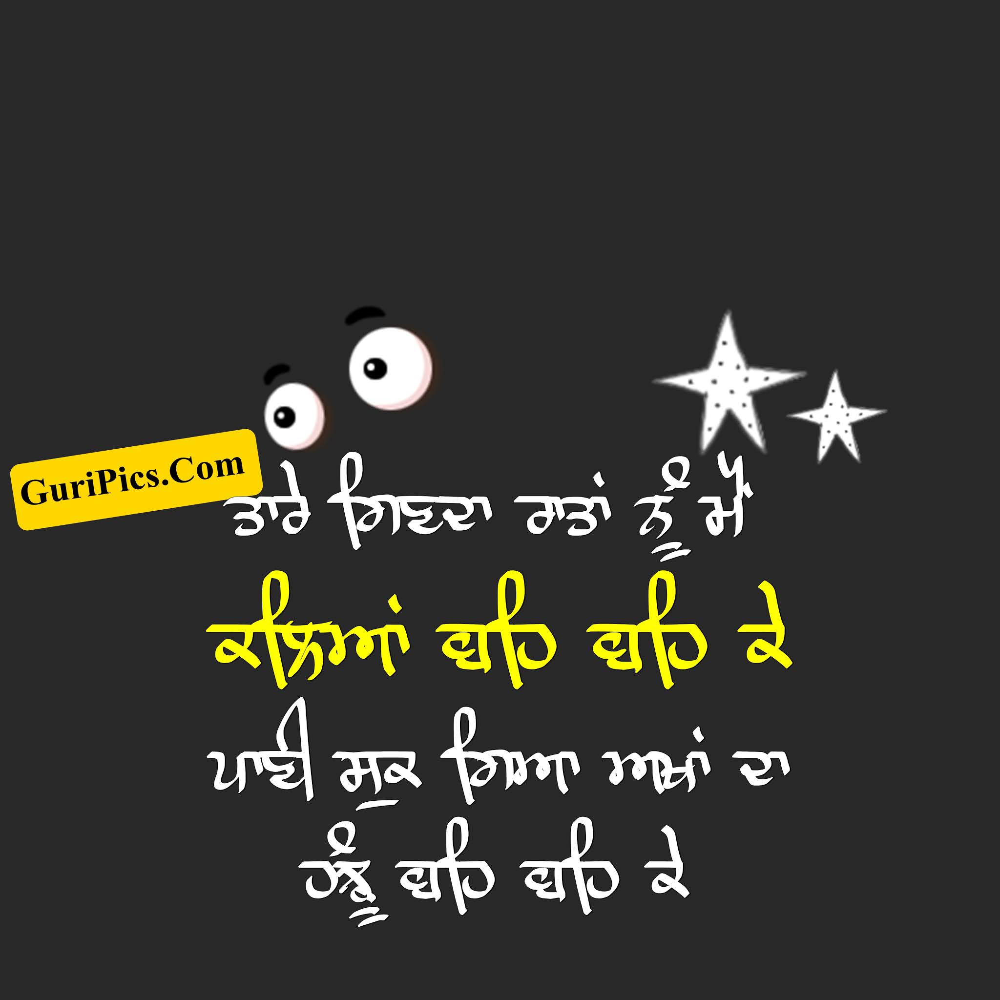 Panchi Punjabi Mp3 Song Lyrics And Status Pic By Sukh ft. Hunny Kusani ...