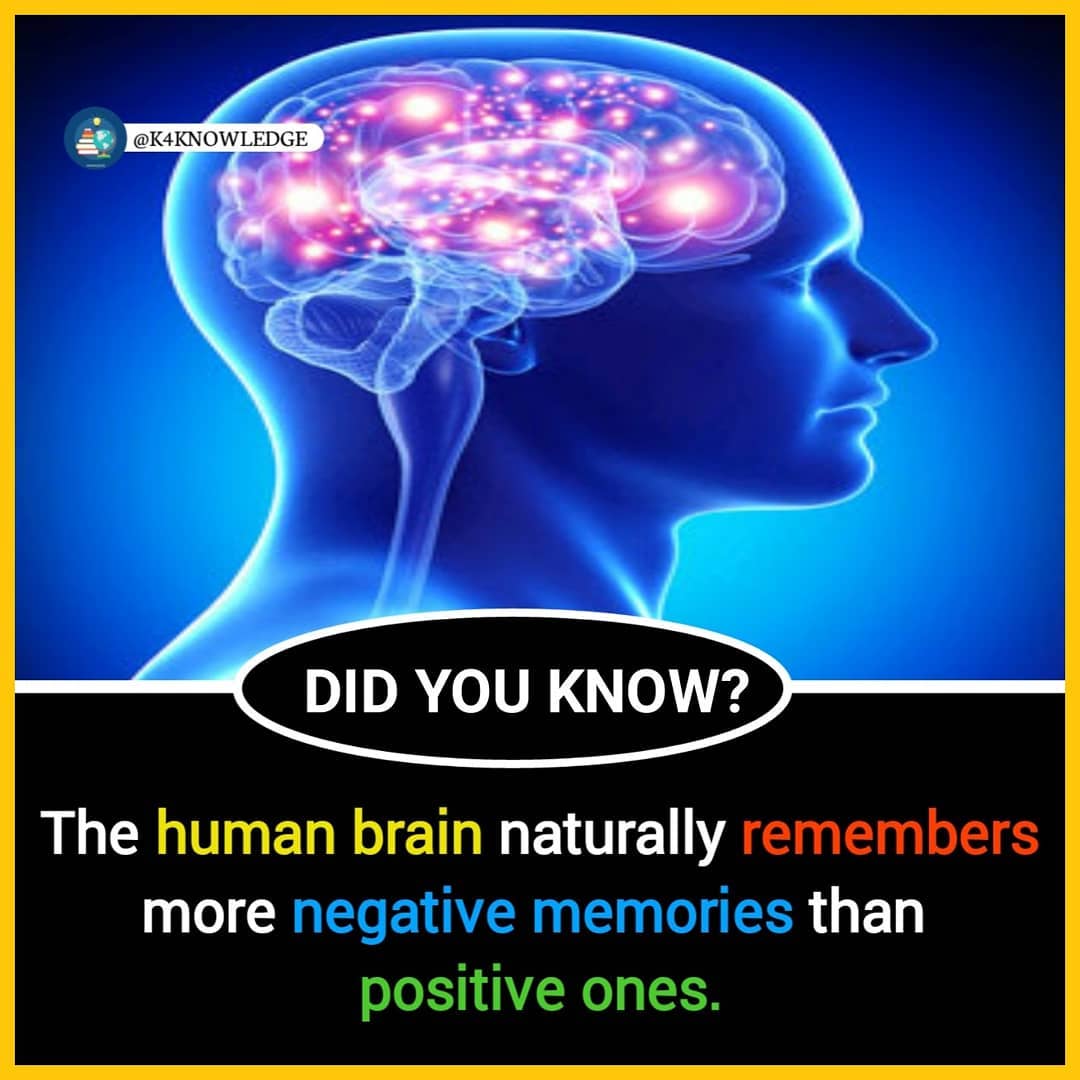 [60+] Amazing Facts About Human, Animal, Tech and Creatures