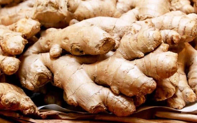 Mga Kwento ng Alamat sa Pilipinas: Alamat ng Luya