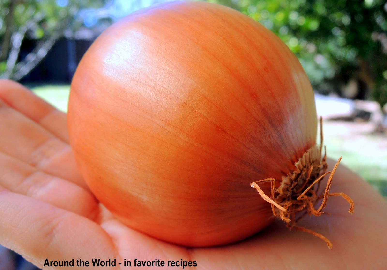 Around the World - in favorite recipes: Onion / Crveni luk