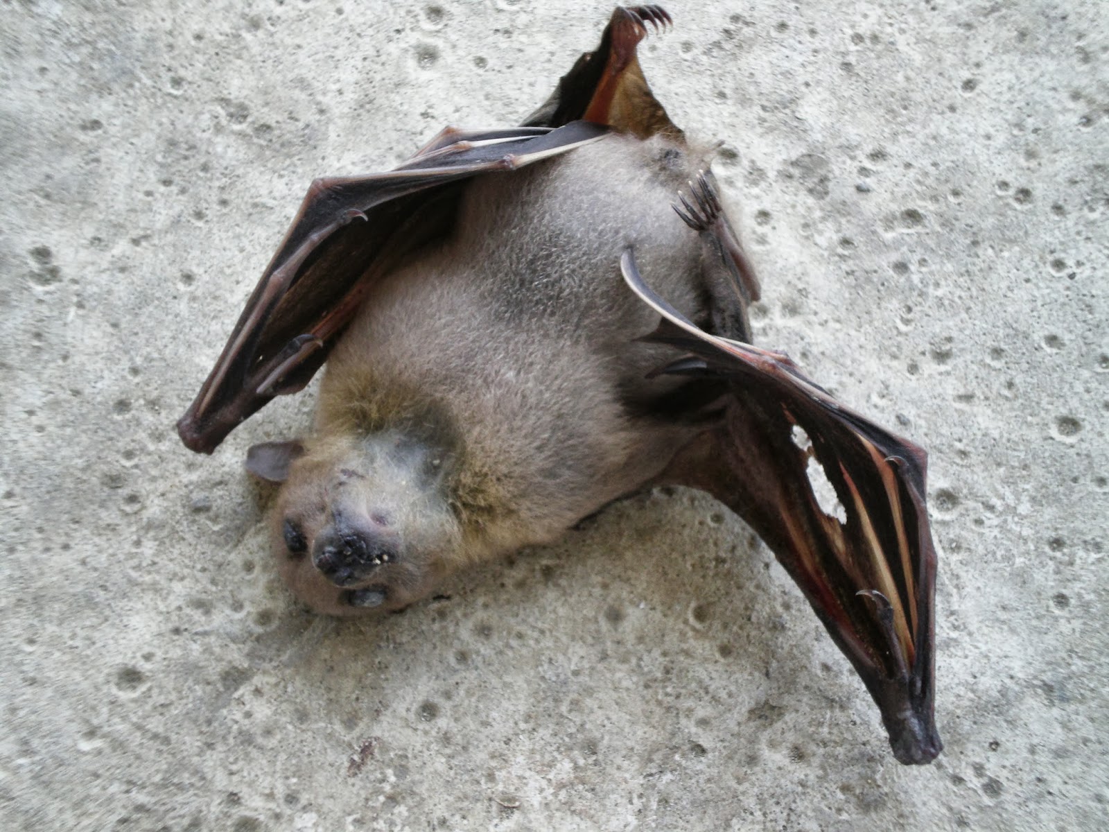 My Life as Civil Engineer