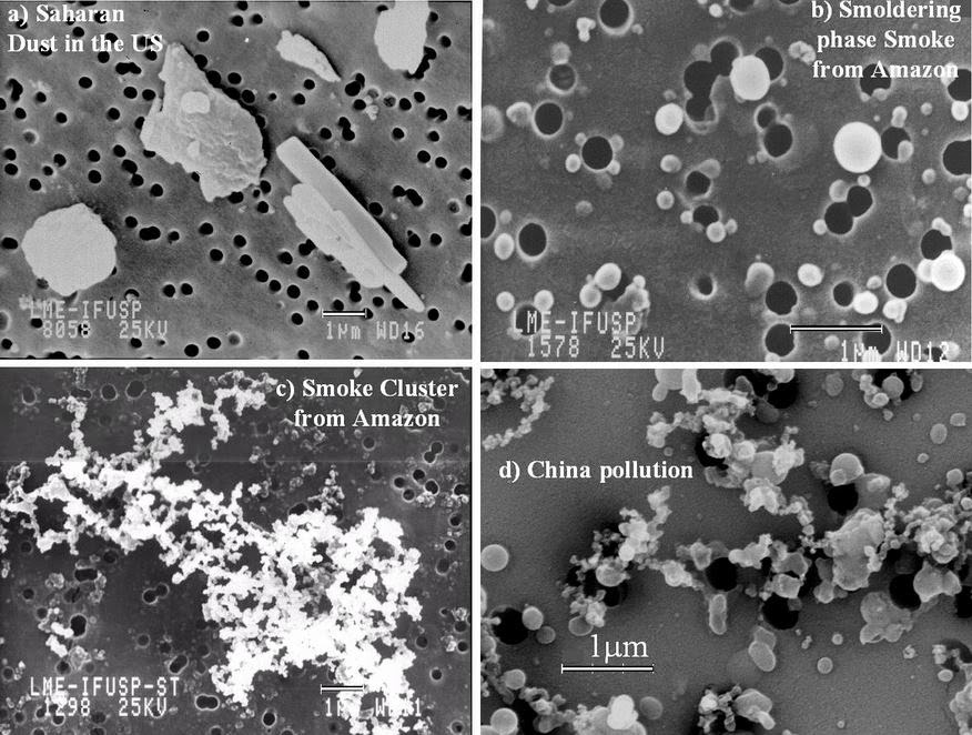Daily Dose of Air Pollution: Microscopic Beauty of Air Pollution