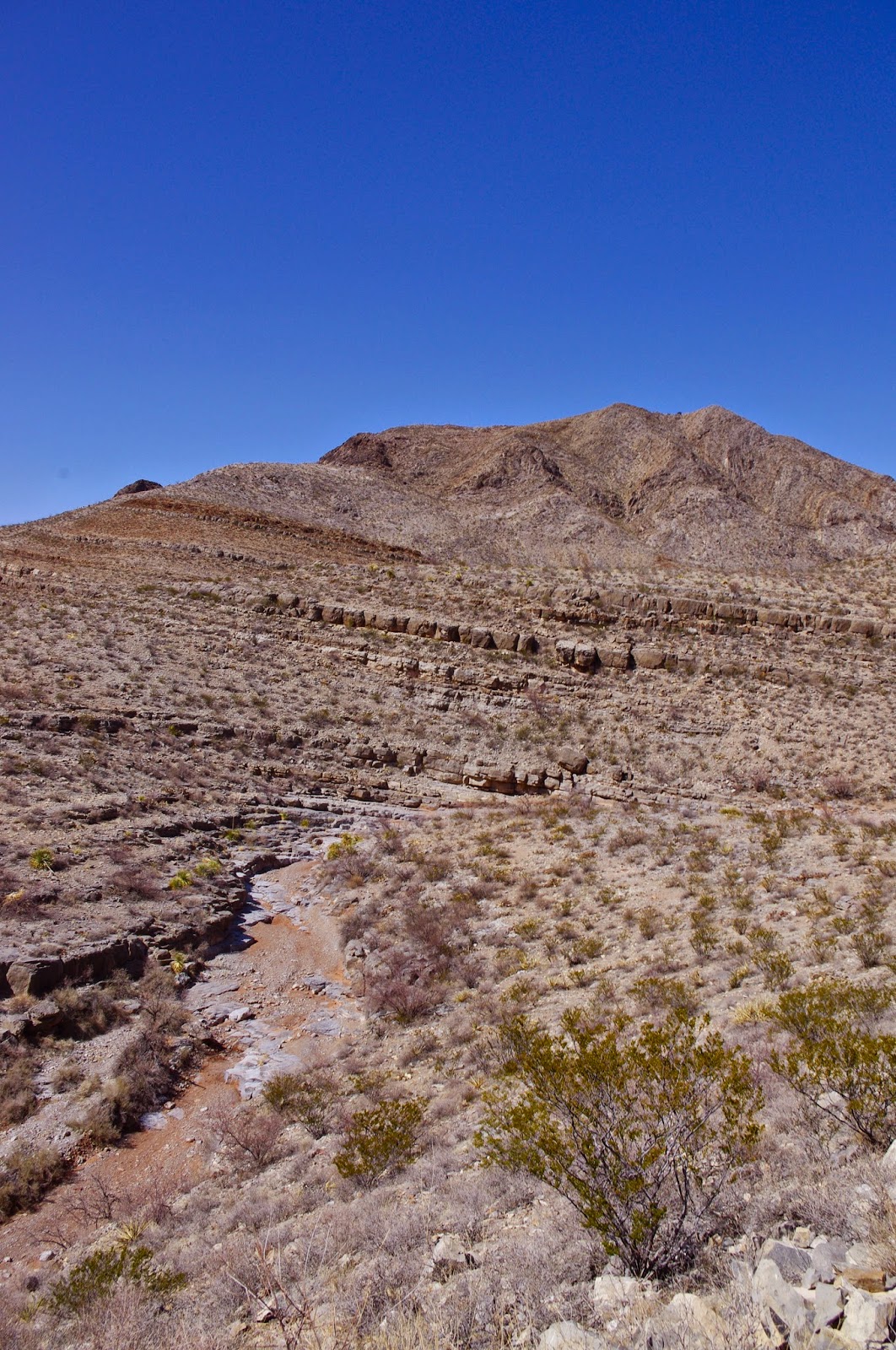 Southern New Mexico Explorer: Palomas Gap - Caballo Mountains