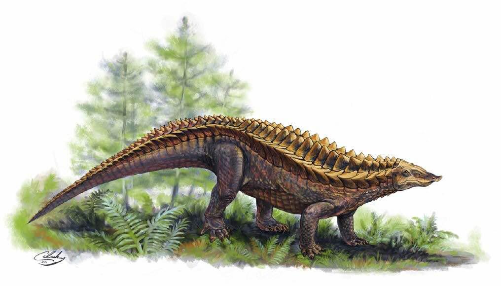 a mesozoic field guide: The Aetosaurs