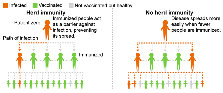 What is the Principle of Herd immunity?Will it help India to fight ...