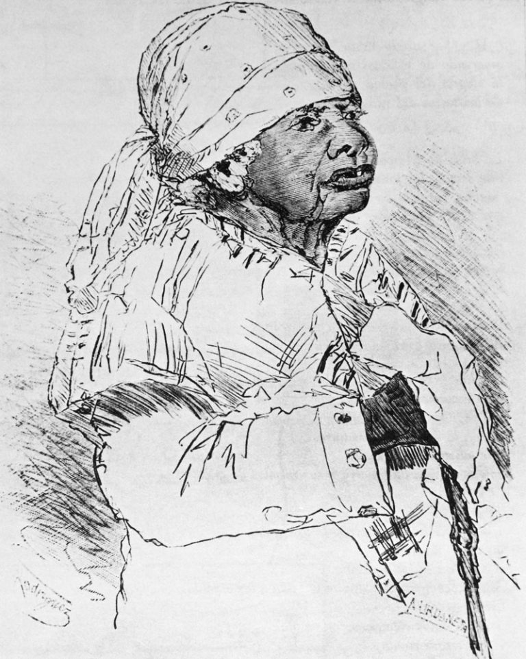 Noticia Sigatoka Venezuela: LA NEGRA MATEA