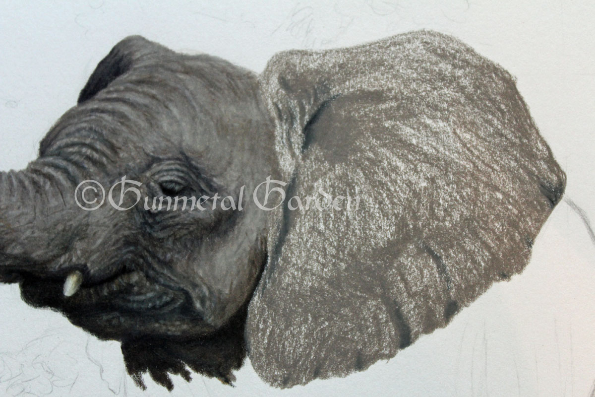 The Gunmetal Garden: African Elephant Ear Tutorial