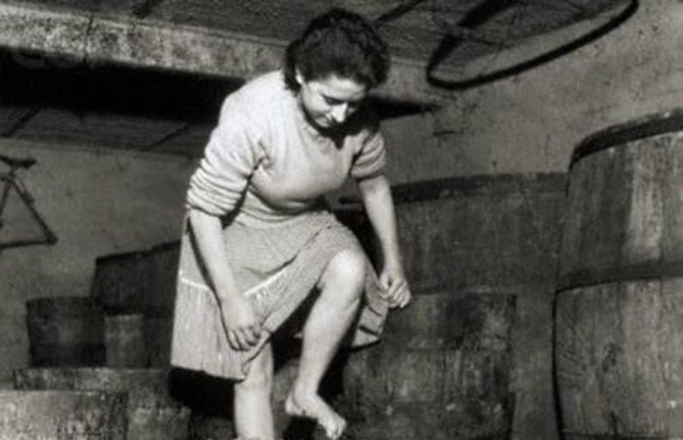 A Woman Stomping Grapes for Wine in Frascati, Italy, 1957 ~ Vintage ...