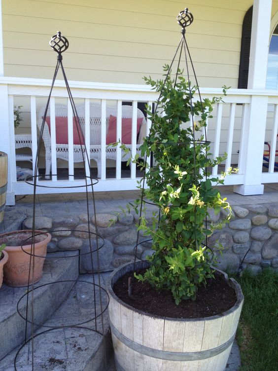 G 4 Gardening: DIY Trellis Obelisk.