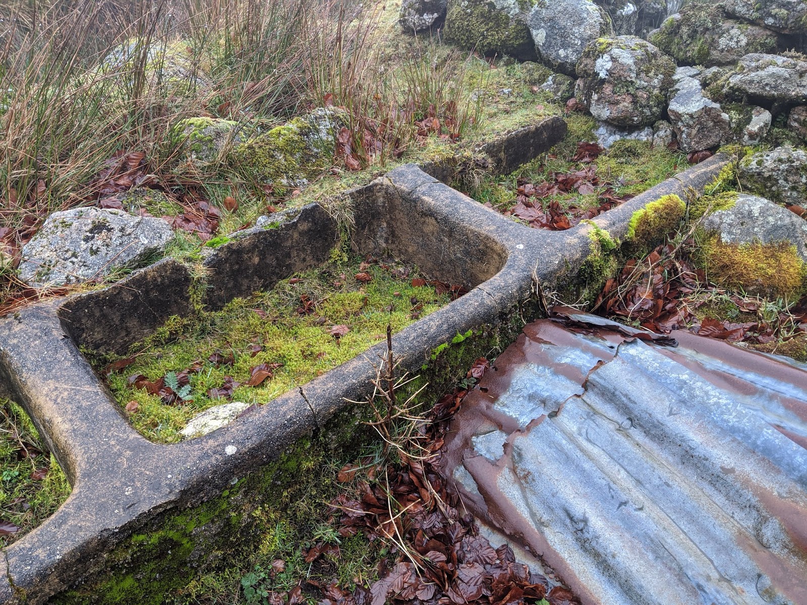 Max Piper - Tor Bagger: Dartmoor: Back to Fernworthy Forest (11.77 miles)