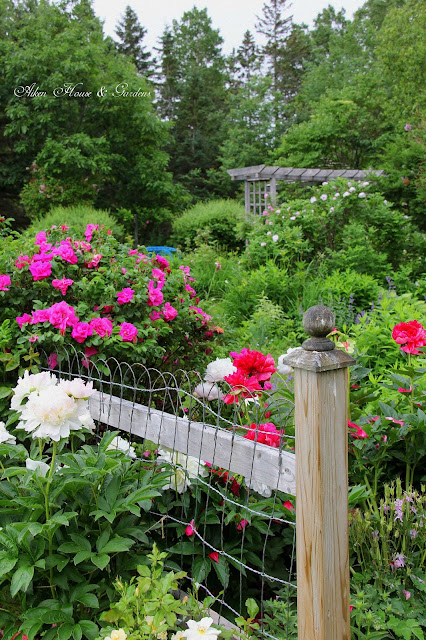 Aiken House & Gardens: June Garden Beauty ~ Last year