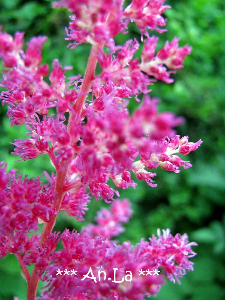 Vse lepote narave: julij 2016