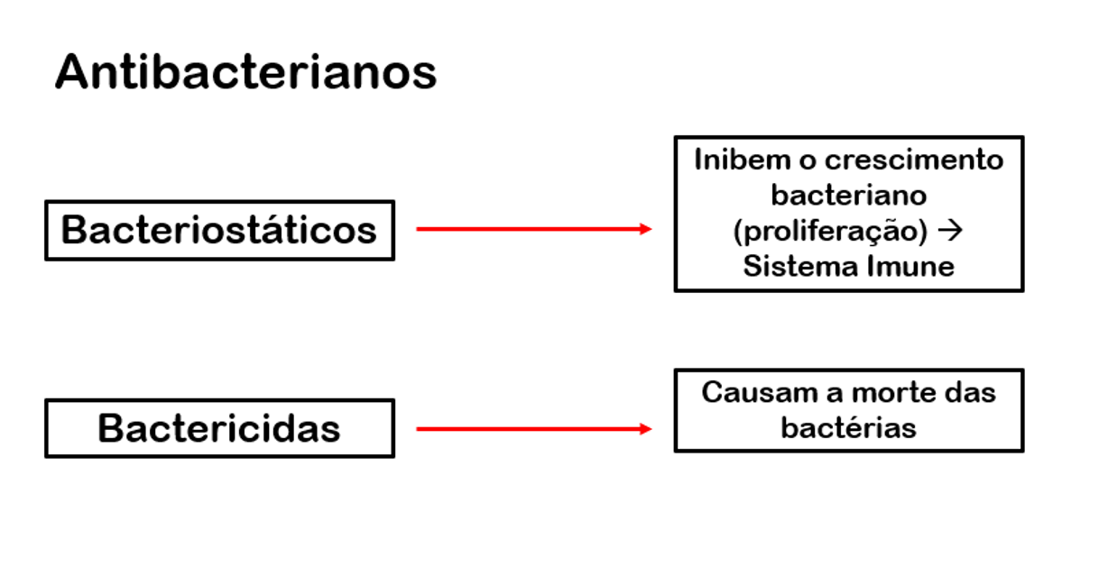 Plantando Ciência: Antibacterianos