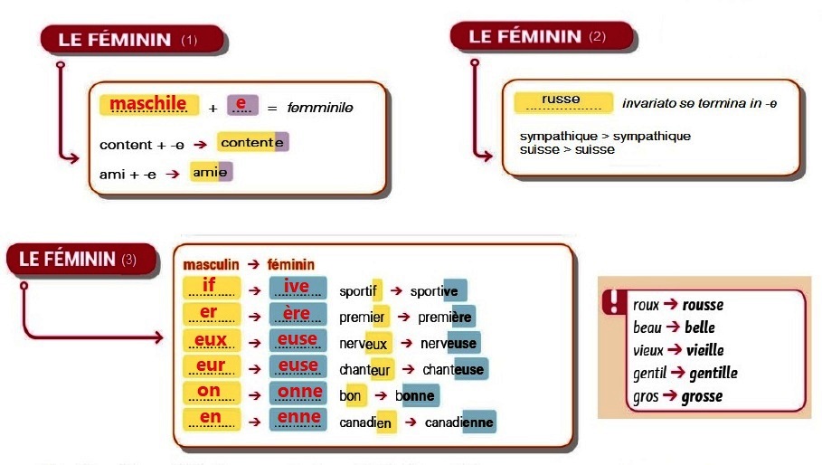 Blog de Français Collège Anna Frank Pistoia: Le féminin des noms et des ...