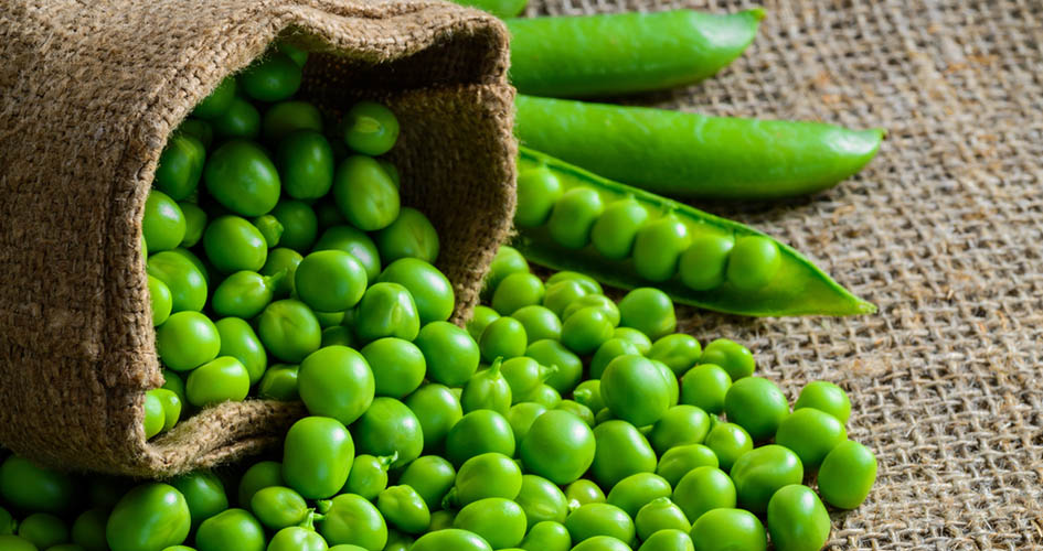 Beneficios del consumo de los chícharos