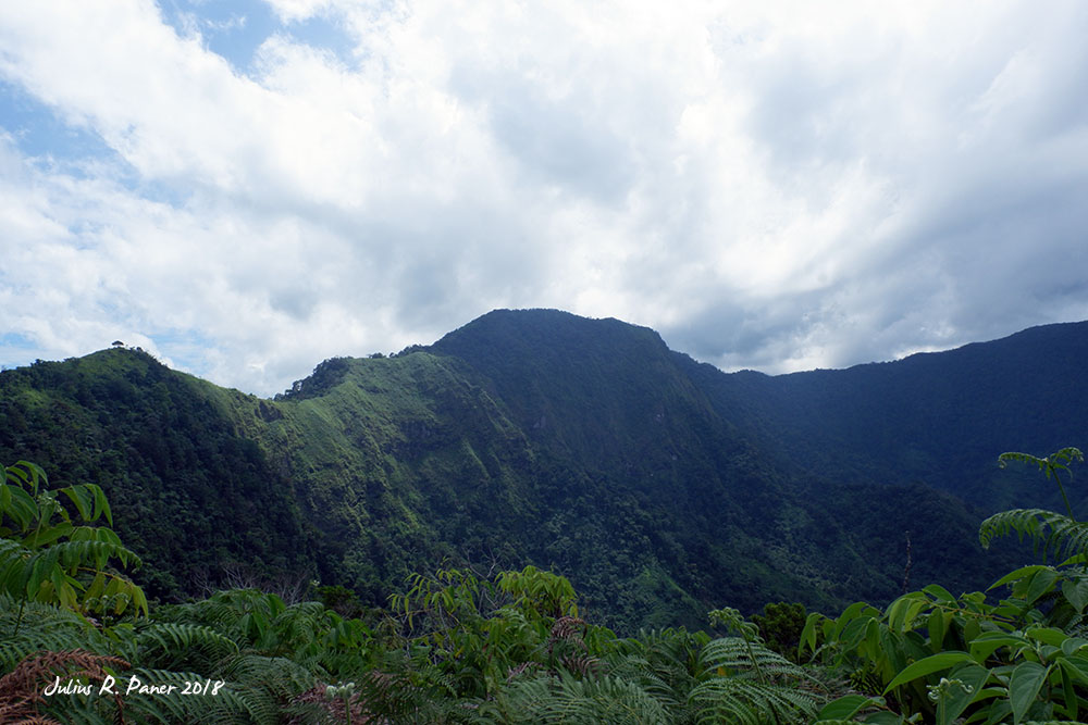 LOGSAC: Crisscrossing Mt. Loay to Kiblan route