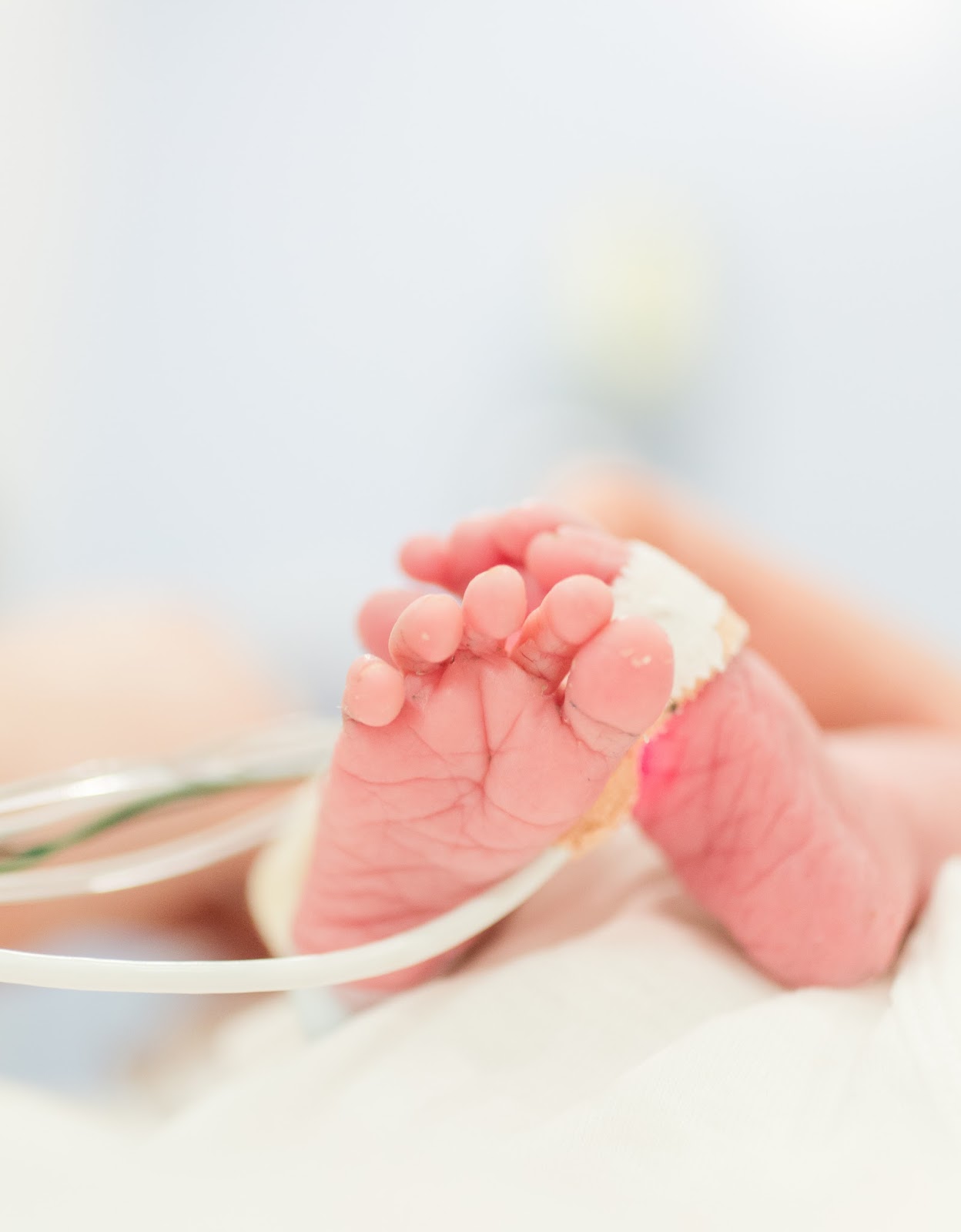 Lessons Learned with Lakin: A Busy Day for Lakin