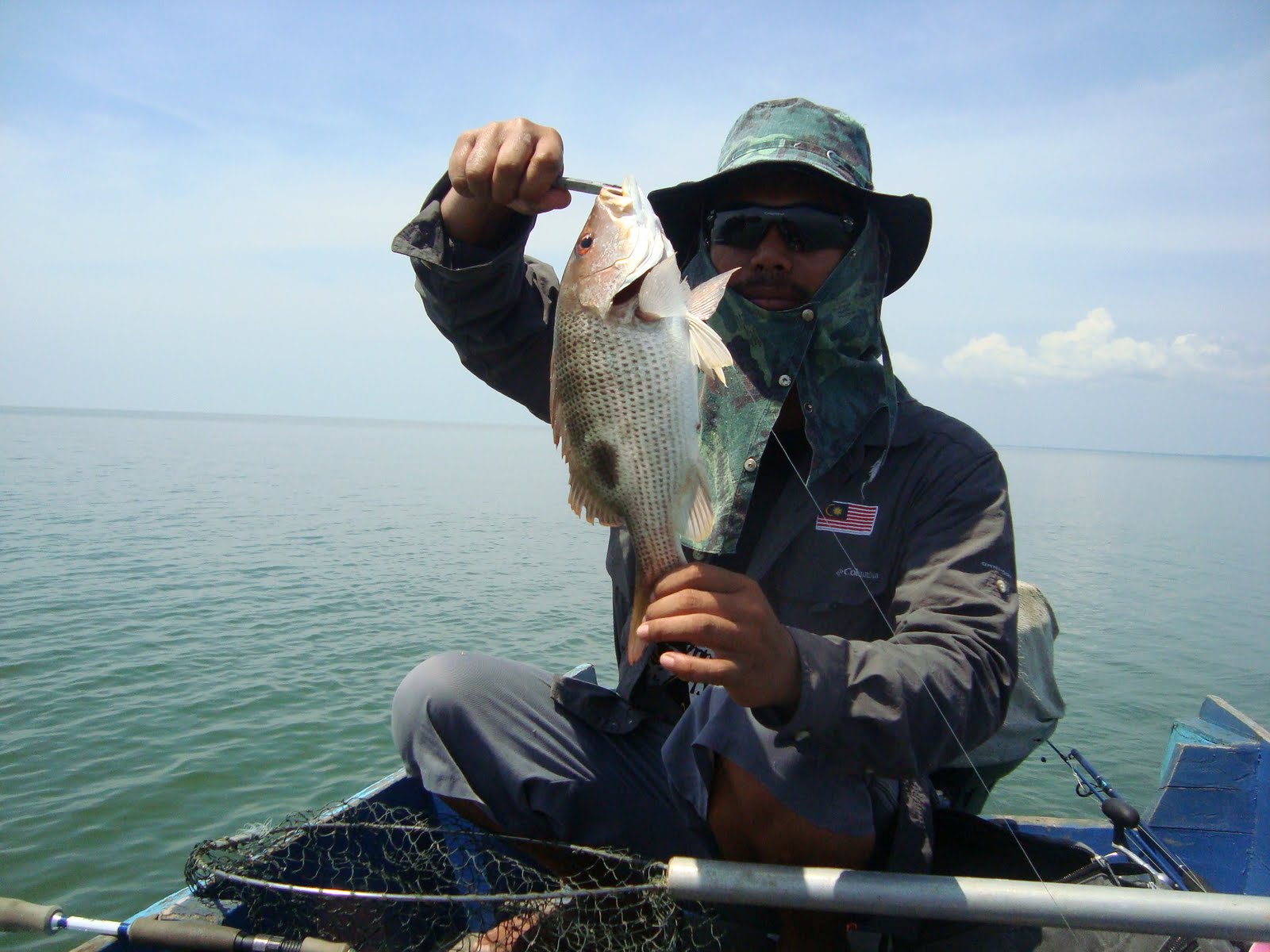 20+ Gambar Ikan Utik, Koleksi Kekinian!