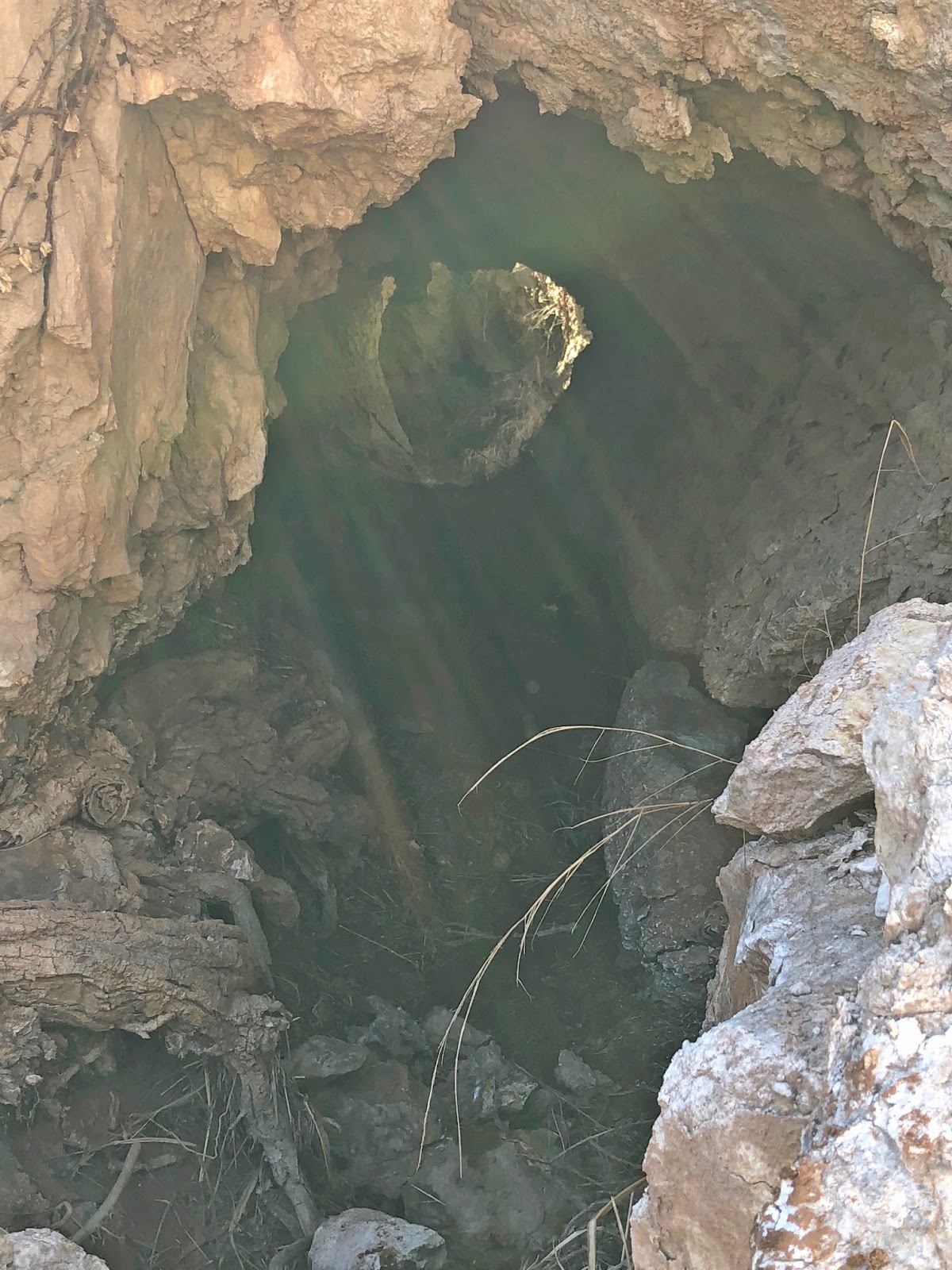 The Kansas Outback: Caving for Conservation