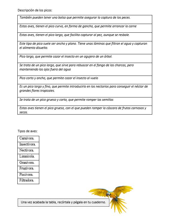 CIENCIA POR INDAGACIÓN EN EL AULA: Unidad Didáctica 4/8 - Las Aves