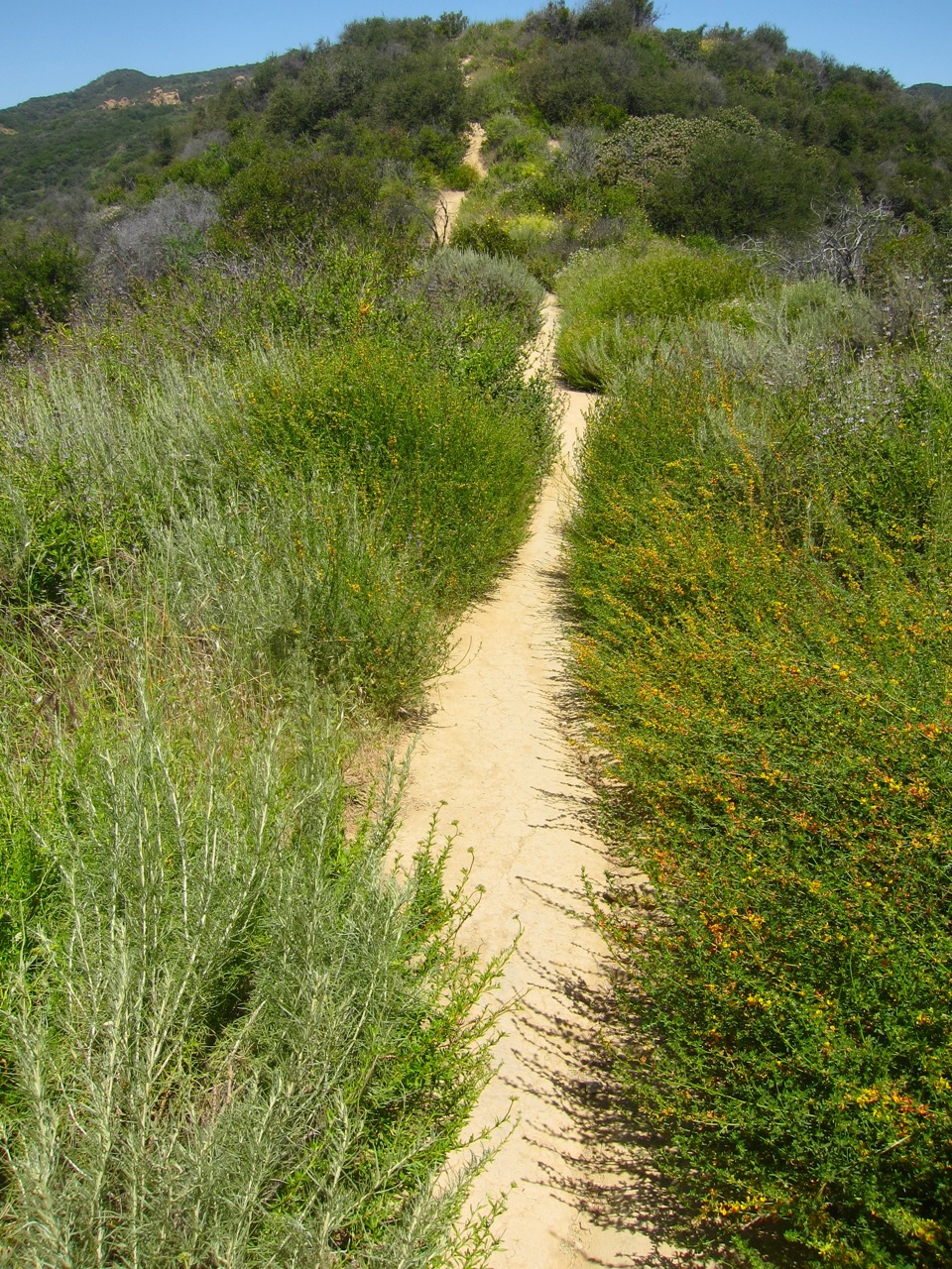 Living Deliciously in SoCal: Hike: Temescal Canyon Loop Trail with ...