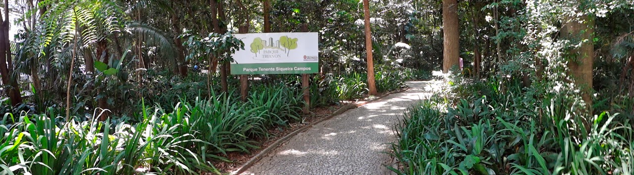 Parque Trianon ou Tenente Siqueira Campos em São Paulo ~ Áreas Verdes ...