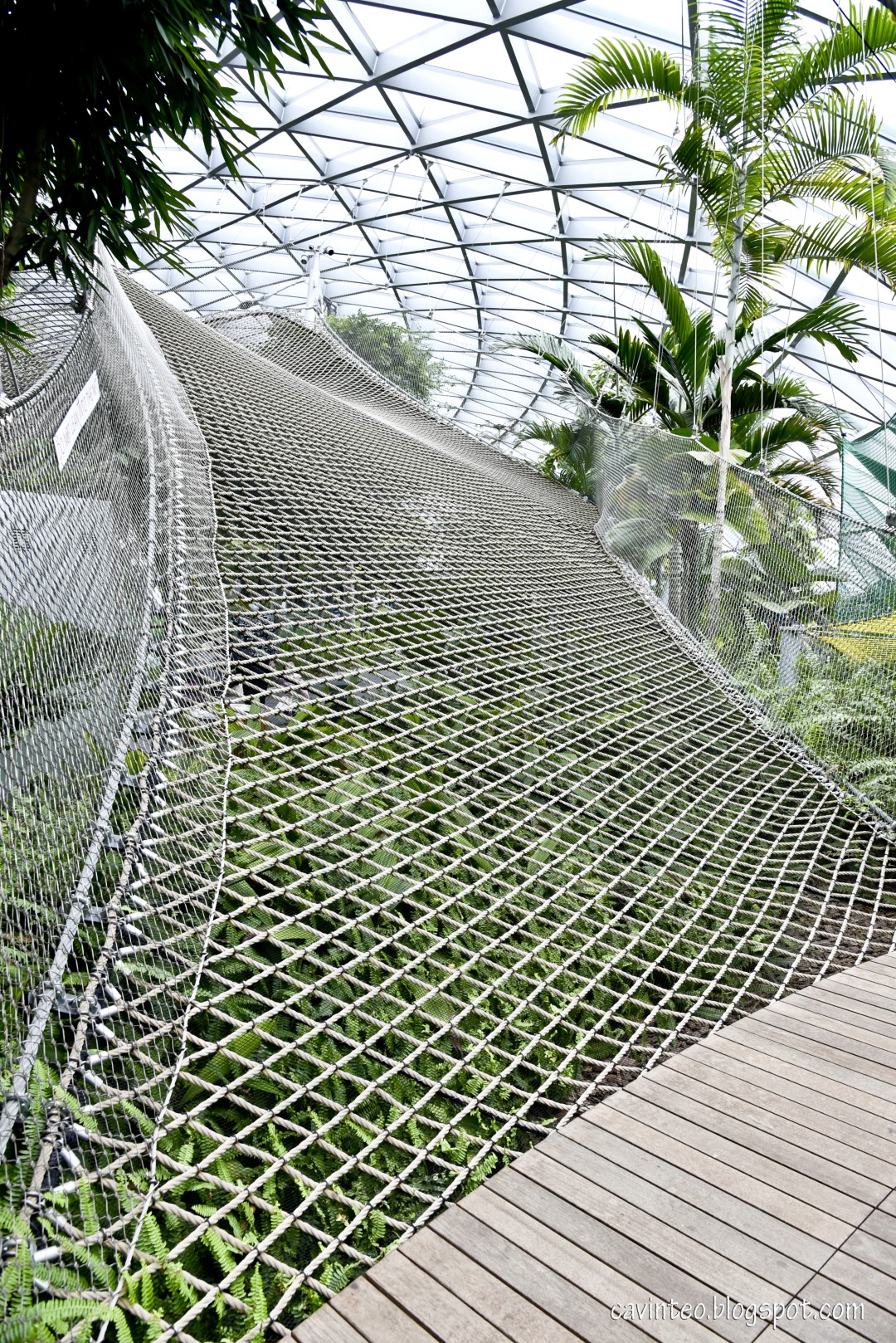 Entree Kibbles: Manulife Sky Nets (Walking) - Challenge Your Fear for ...