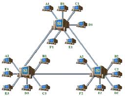Reţele de calculatoare: Topologia şi arhitectura reţelelor