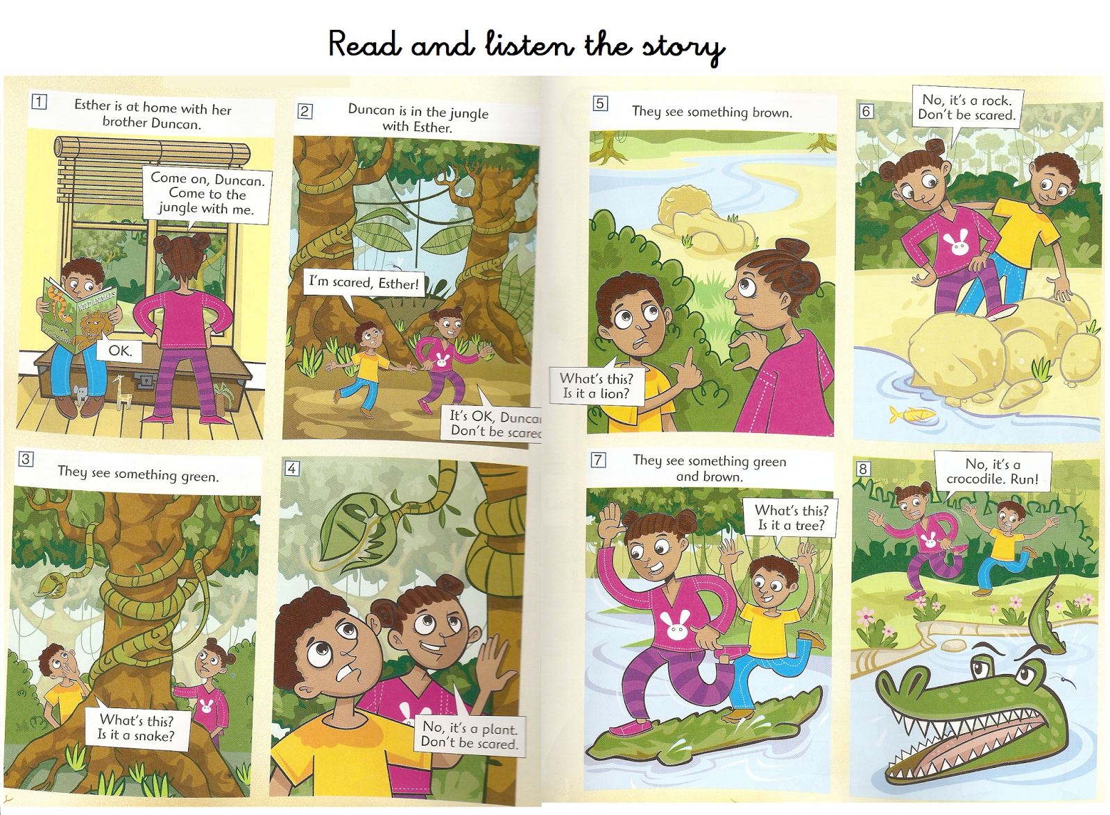 It's Teaching Time: 3rd grade Primary: The animals