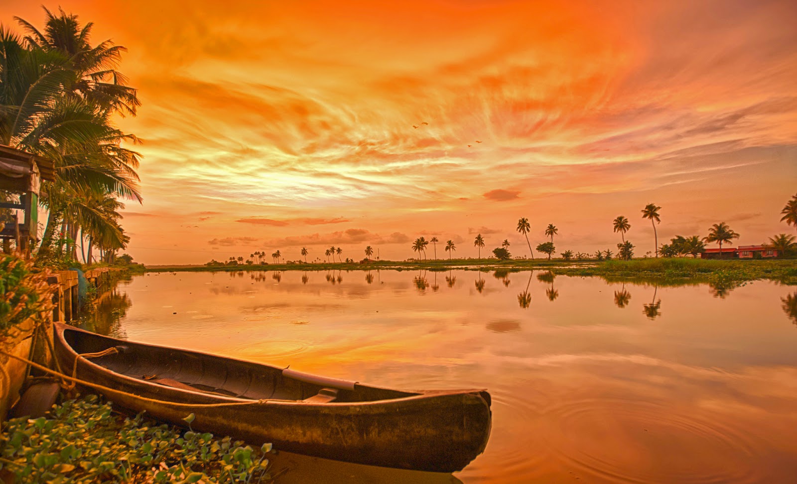 Kumarakom - Kerala - India | Travel life journeys