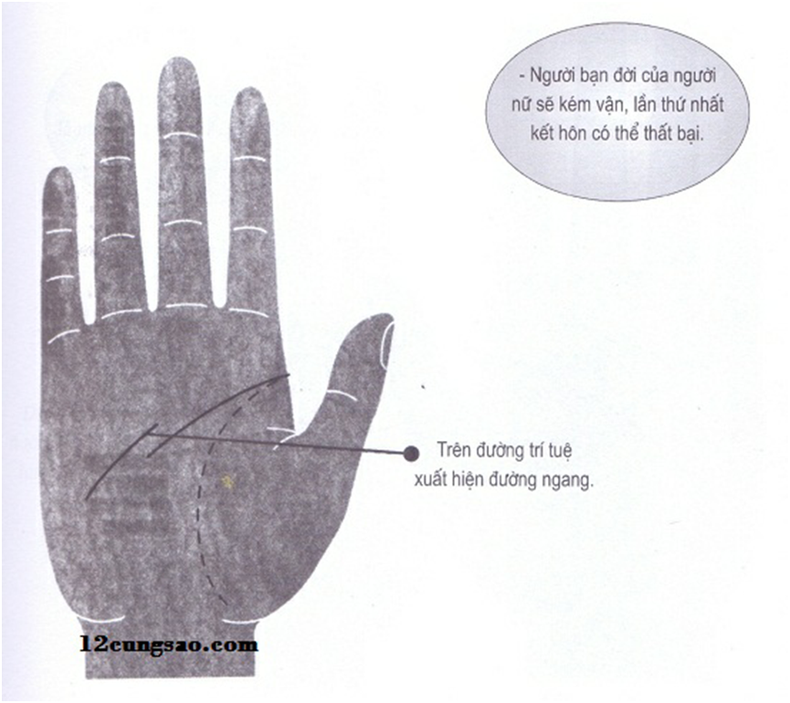 Đường trí đạo | Khoa xem tướng