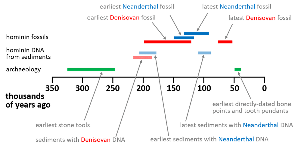 New England's History: New evidence on the Neanderthal/Denisovan overlap