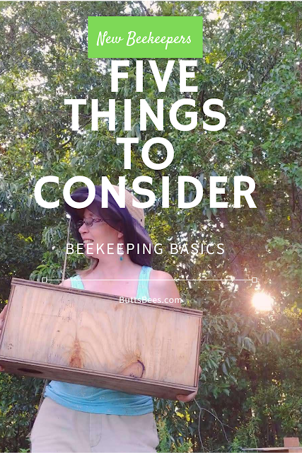 5 Things for Beginner Beekeepers to Consider