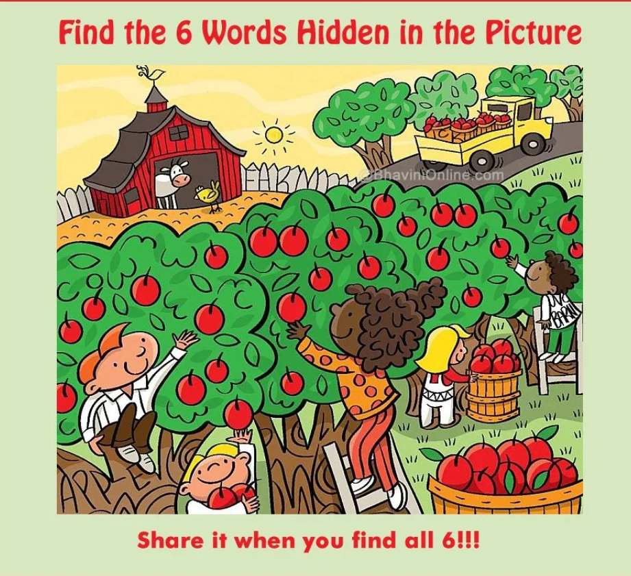 EL BLOG DE 4º DEL VICENTE: VOCABULARY CHALLENGE. APPLE TREES