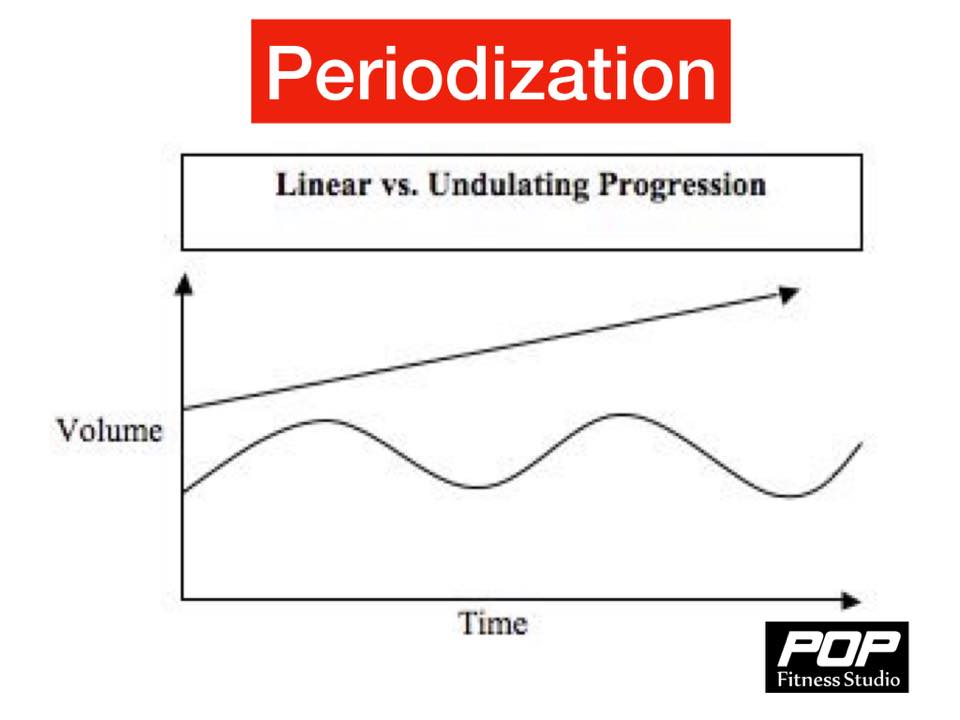 Periodization การวางแผนการฝึกอย่างเป็นระบบ