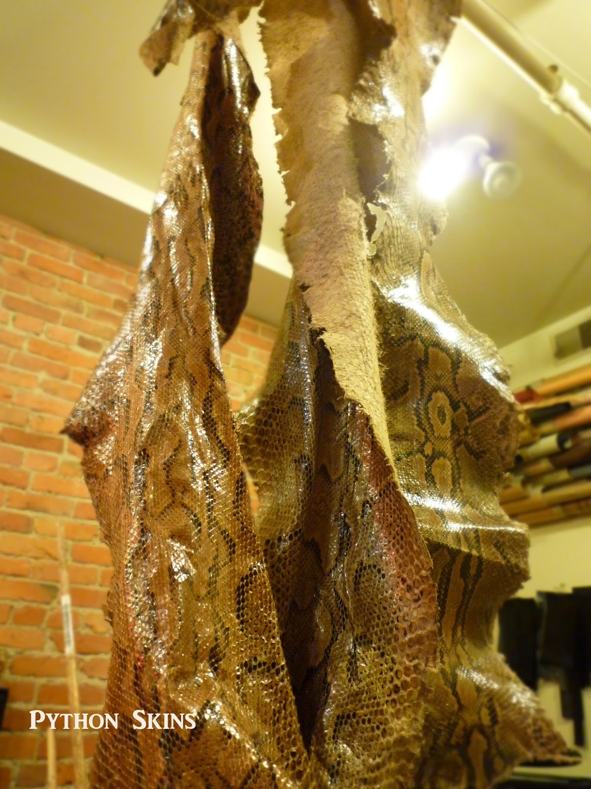 Bookbinder's Chronicle