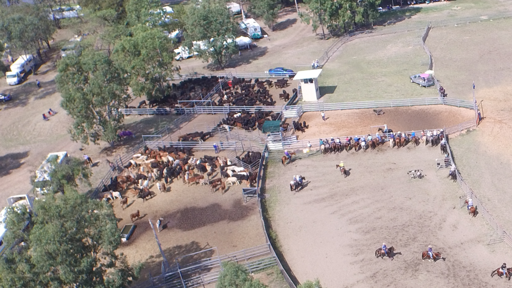 Time4Tour.com: Baralaba Campdraft