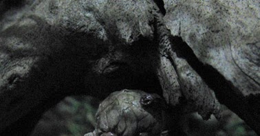 Mythical Creatures of the Philippines: TIYANAK