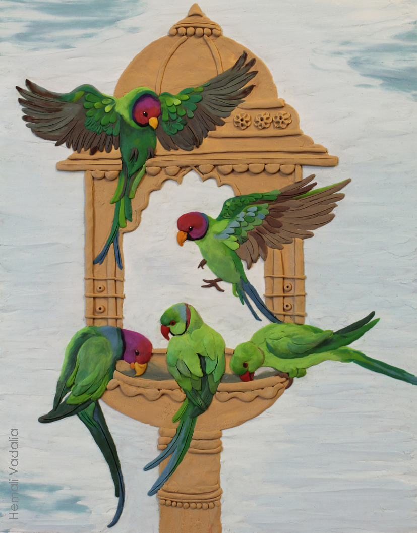 Hues & Views: Chabutro, Bird feeder Ahmedabad