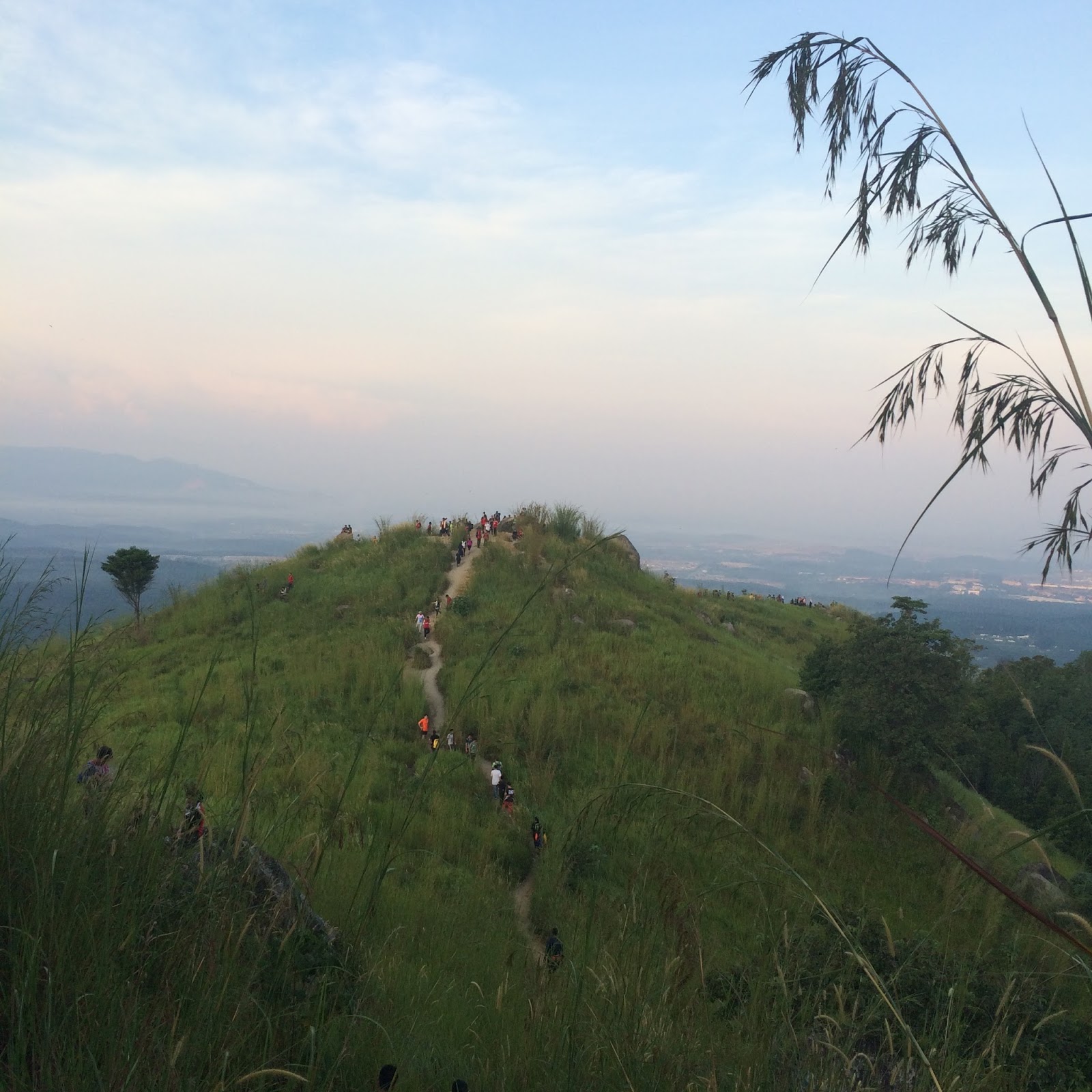 Whatever happens in Broga, Stays in Broga