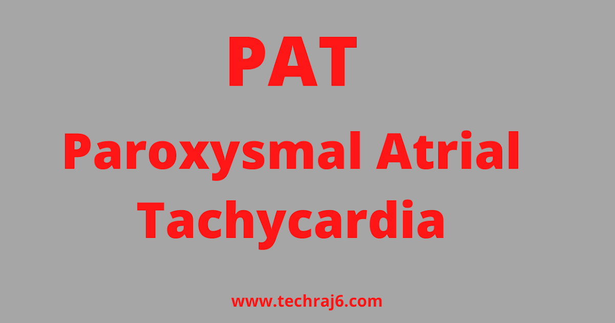 PAT full form, What is the full form of PAT