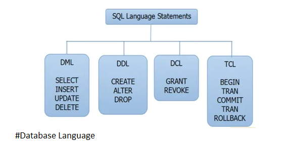 My Experiences Database Language My Experiences Database Language