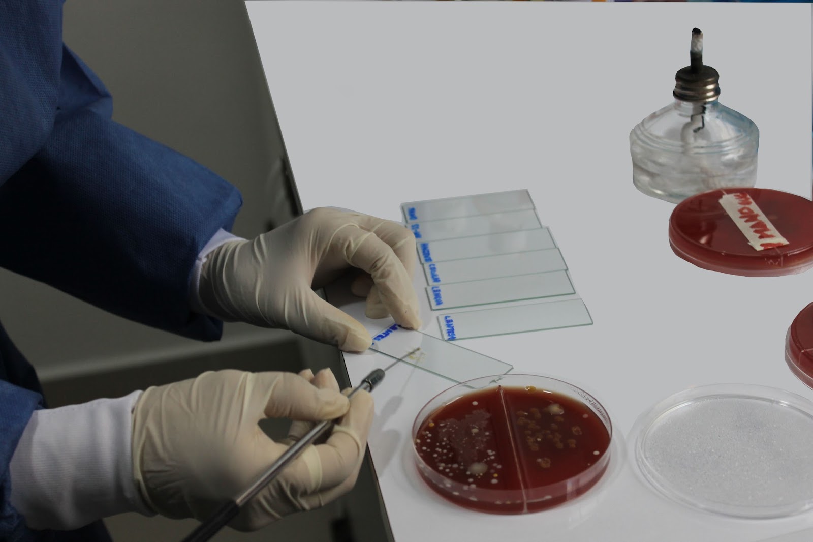 enero 2018 | Universidad Metropolitana-Proyectos Integradores