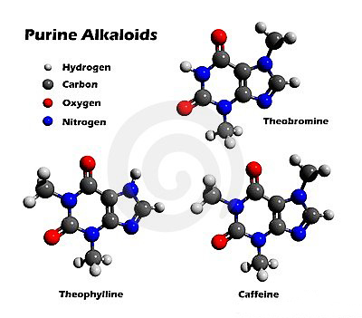 Alcaloid ~ Dược Liệu Việt Nam