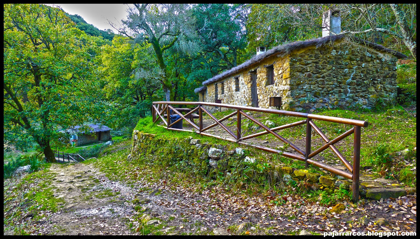 PajarrArcos: La Sauceda