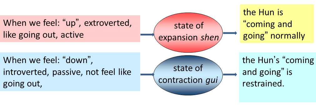 Maciocia Online: SHEN AND HUN: THE PSYCHE IN CHINESE MEDICINE