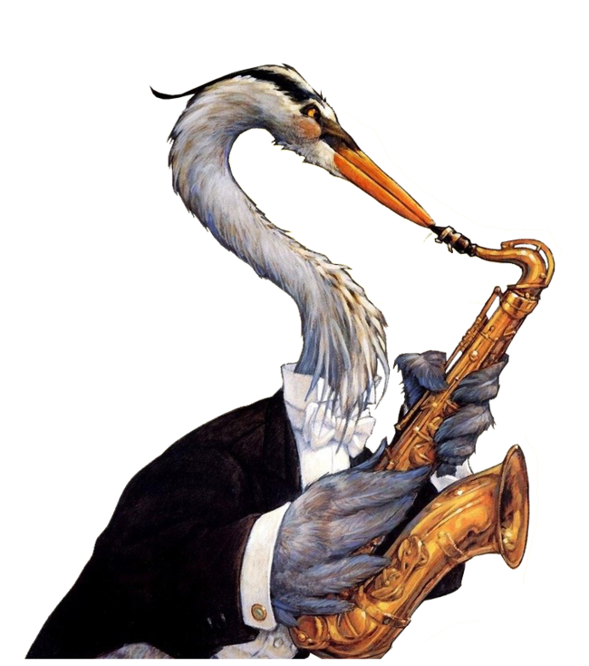 ForgetMeNot: Birds storks