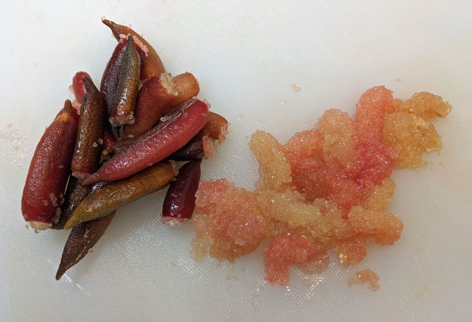 The Uncarved Block: Australian Finger Lime Marmalade