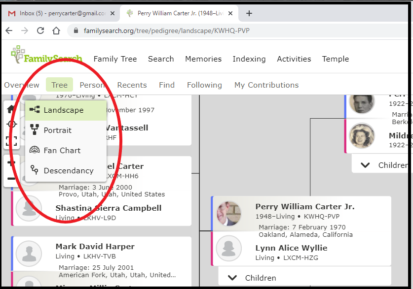 Temple and Family History Lesson 3: The Family Tree